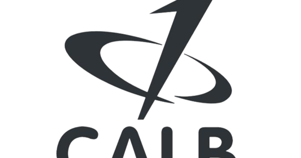 CALB LiFePO4 Battery - High-Performance Lithium Iron Phosphate